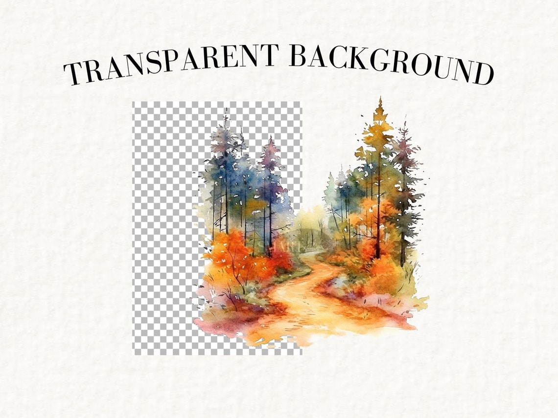 Forest Path Clipart Bundle 42 Four Seasons Landscape Pngs - Etsy