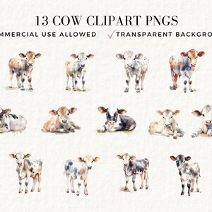 Baby Cow Watercolor Clipart Set of 35 Elements, Commercial Use, Instant ...
