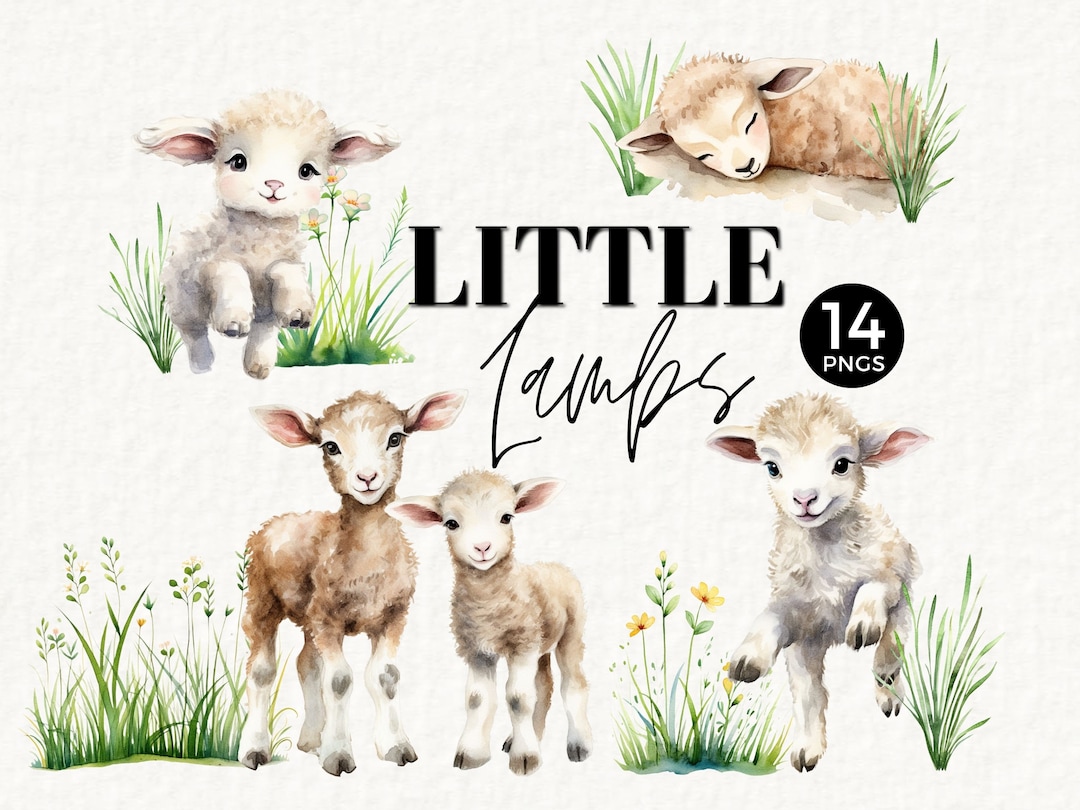Watercolor Lambs Clipart, Sheep, Easter Spring PNG, Farm Party ...