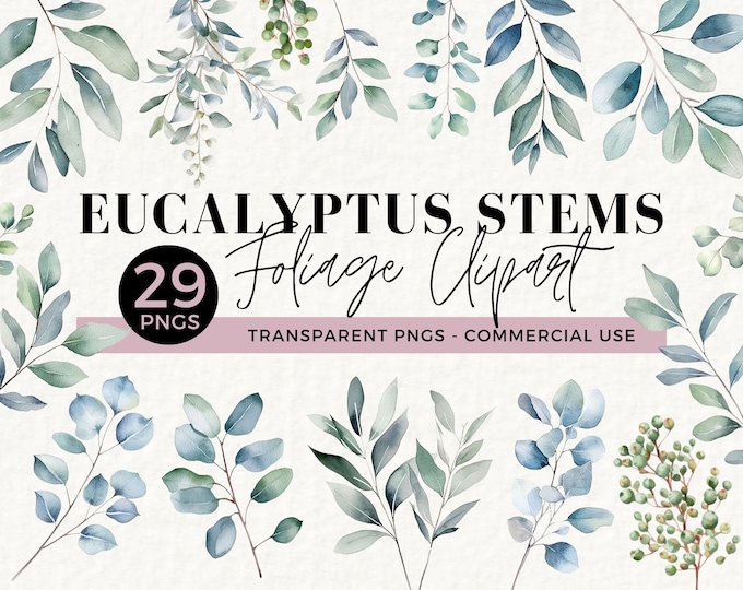 Eucalyptus. Watercolor Floral Clipart. Individual Elements. Green ...