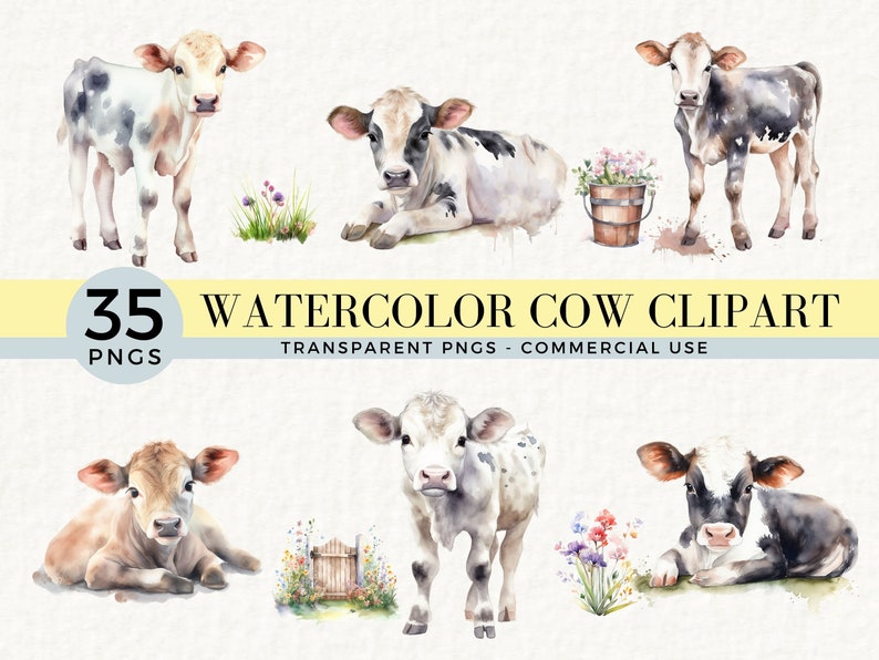 Baby Cow Watercolor Clipart Set of 35 Elements, Commercial Use, Instant ...