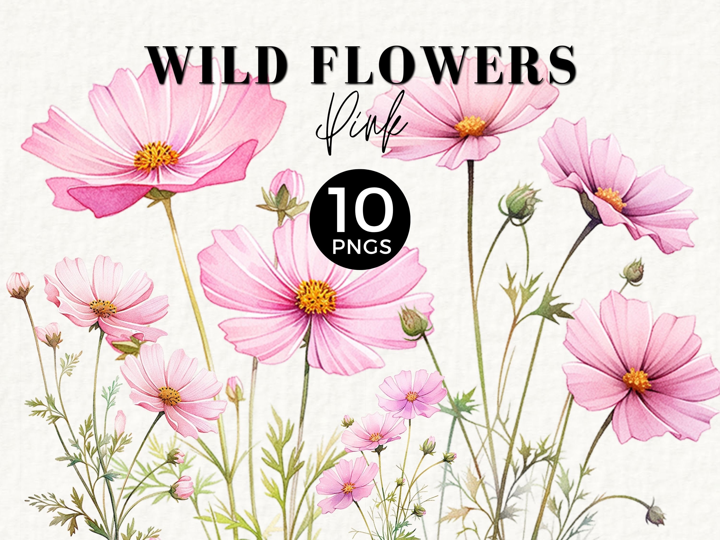 Wild Floral Clipart, Dusty Pink Watercolor Wild Flowers, Wedding ...