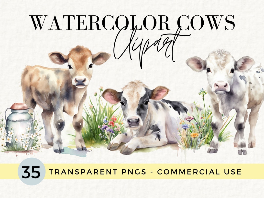 Baby Cow Watercolor Clipart Set of 35 Elements, Commercial Use, Instant ...