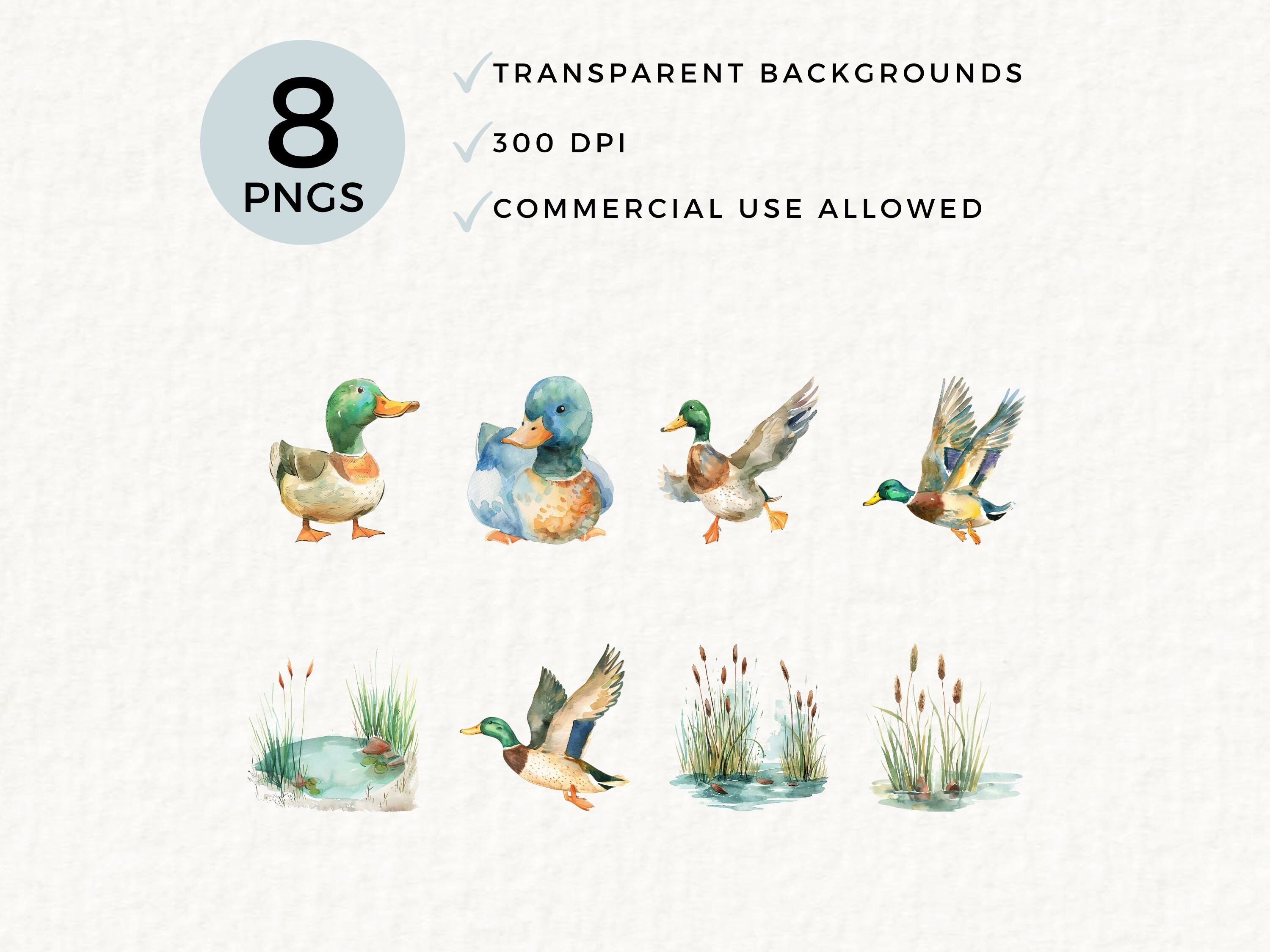 One Lucky Duck Clipart for First Birthday Decorations, Mallard Duck PNG ...