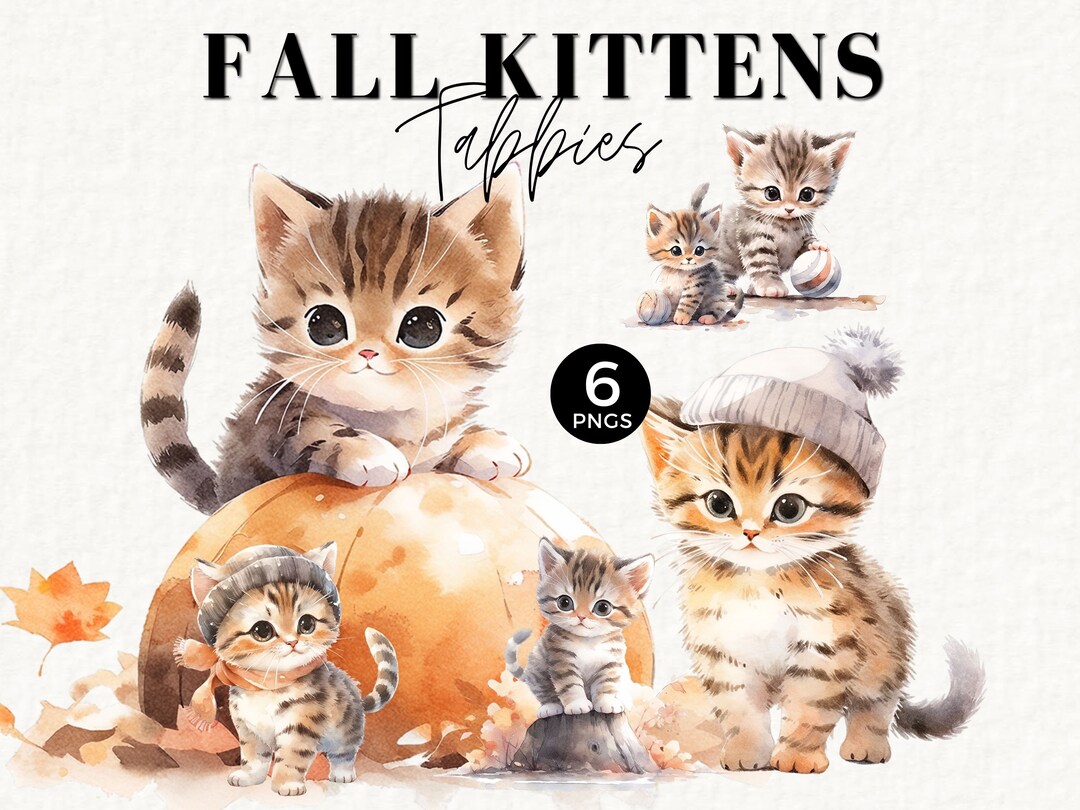 Cute Fall Cat Clipart, Tabby Cat, Pumpkin, Thanksgiving, Commercial ...