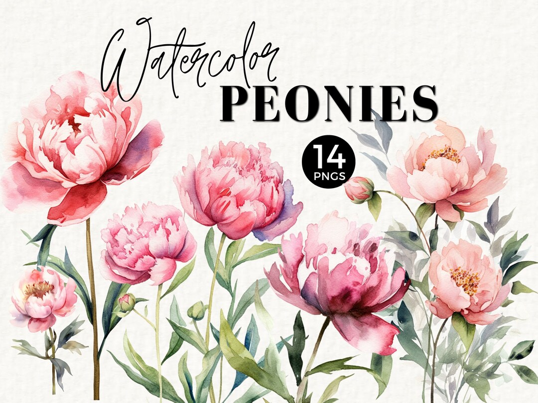 Peony Floral Clipart Watercolor Flowers, Dusty Pink, Floral Border ...