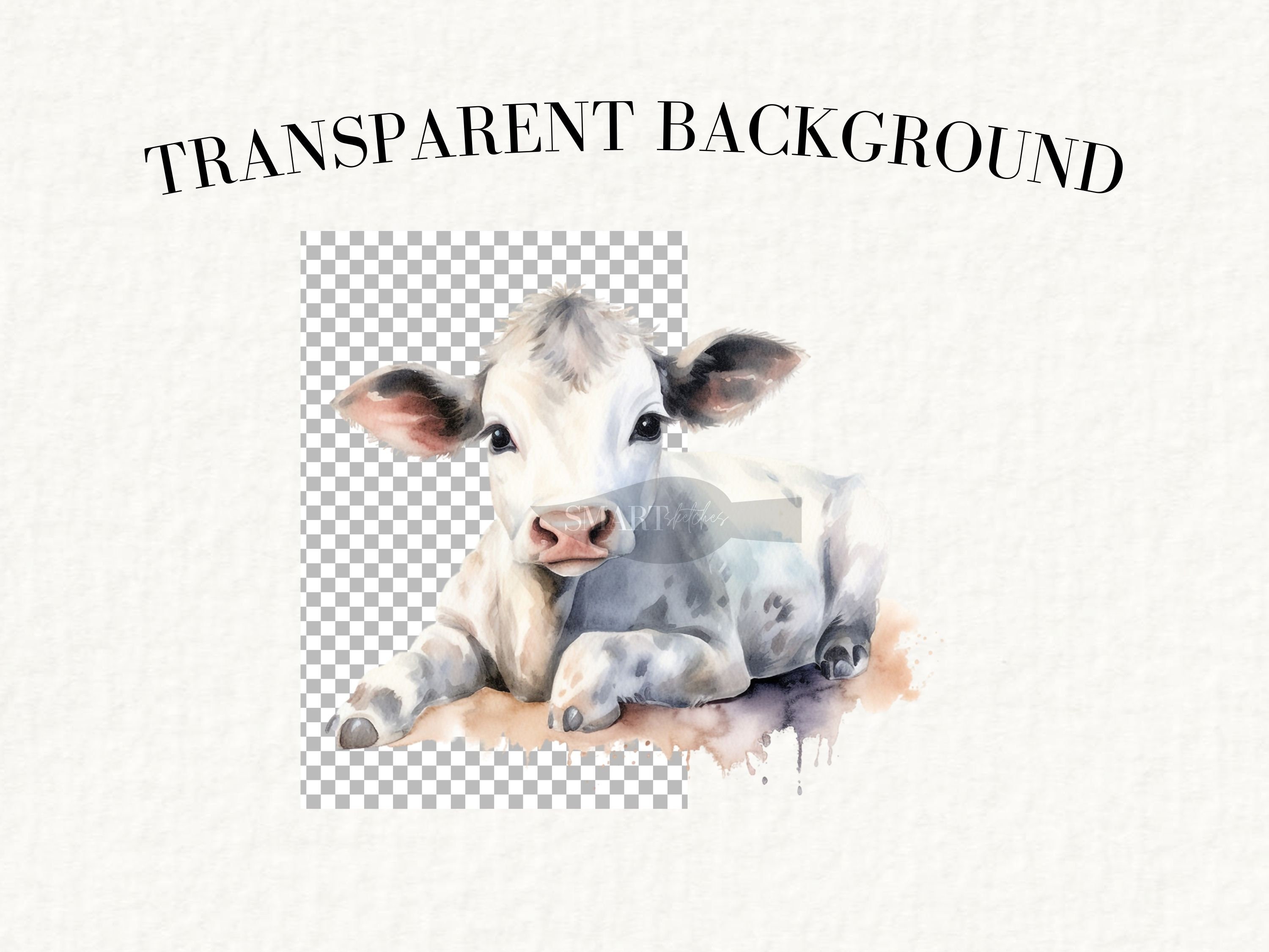 Baby Cow Watercolor Clipart Set of 35 Elements Commercial - Etsy