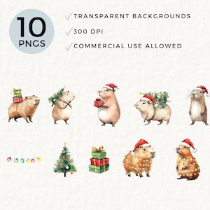 Capybara Clip Art, Commercial Use for Christmas Ornament, T-shirt ...