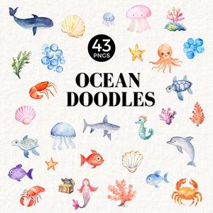 Sea Life Doodles Clipart, Under the Sea PNG, Cute Sea Shell, Watercolor ...