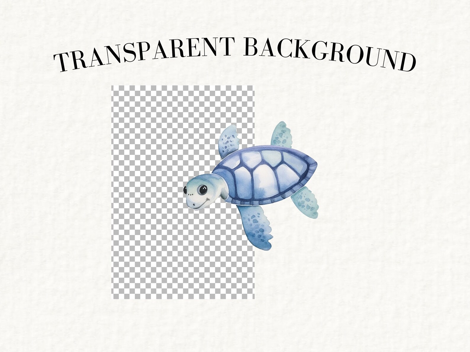 Sea Life Doodles Clipart, Under the Sea PNG, Cute Sea Shell, Watercolor ...