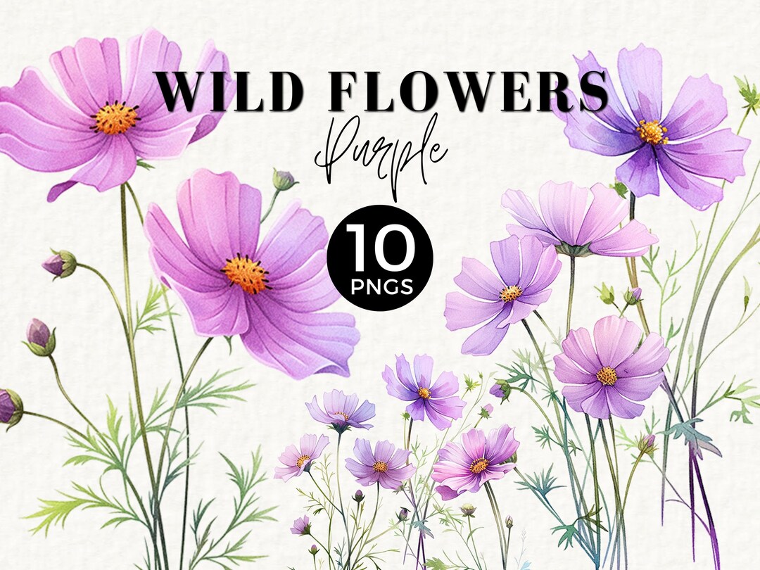Wild Floral Clipart, Purple Watercolor Wild Flowers, Wedding Clipart ...