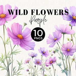 Wild Floral Clipart, Purple Watercolor Wild Flowers, Wedding Clipart ...