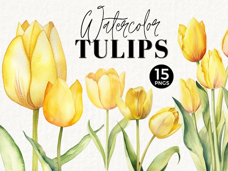 Tulip Floral Clipart Watercolor Flowers, Commercial Use, Yellow Clip ...