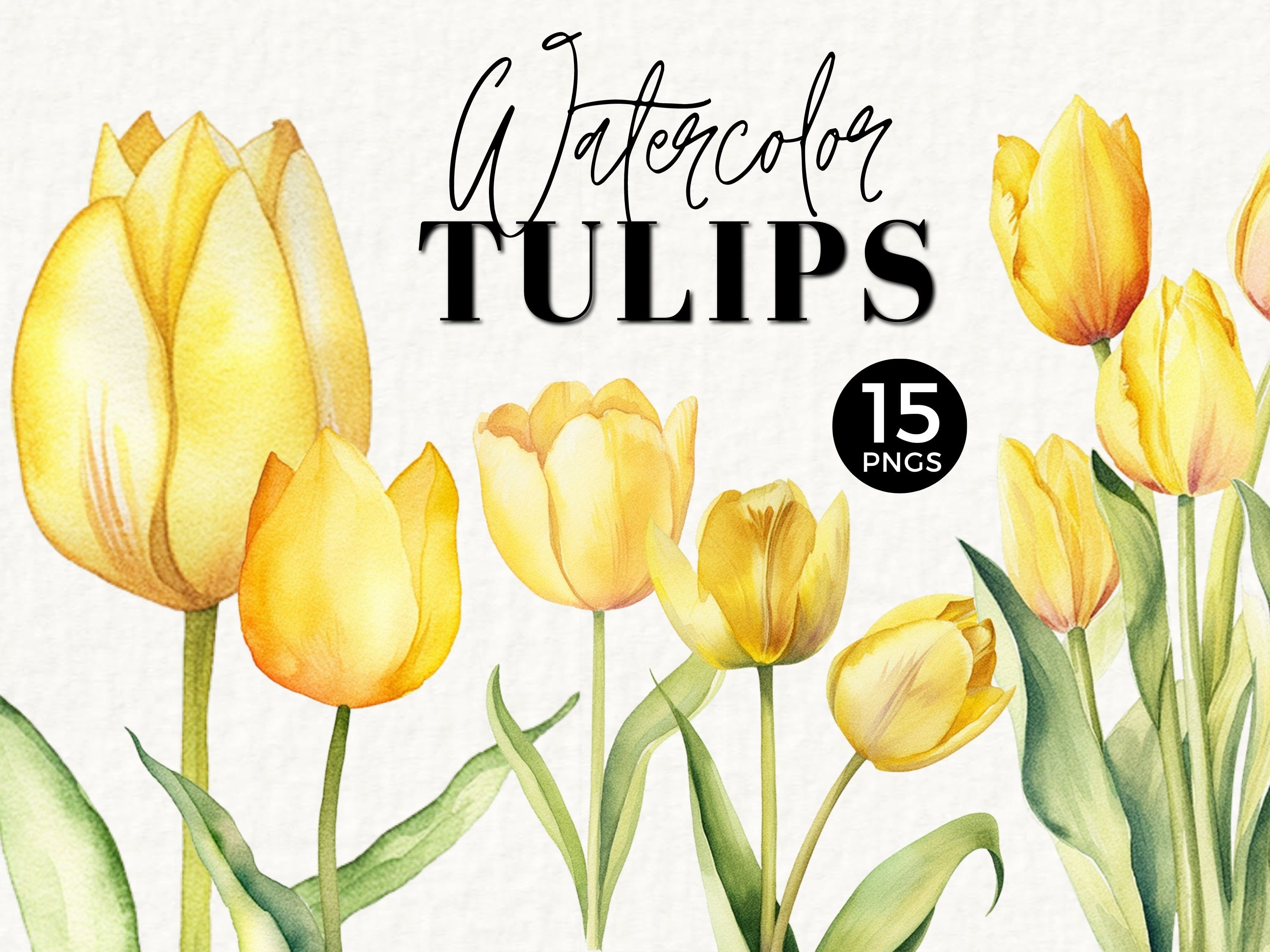 Tulip Floral Clipart Watercolor Flowers, Commercial Use, Yellow Clip ...