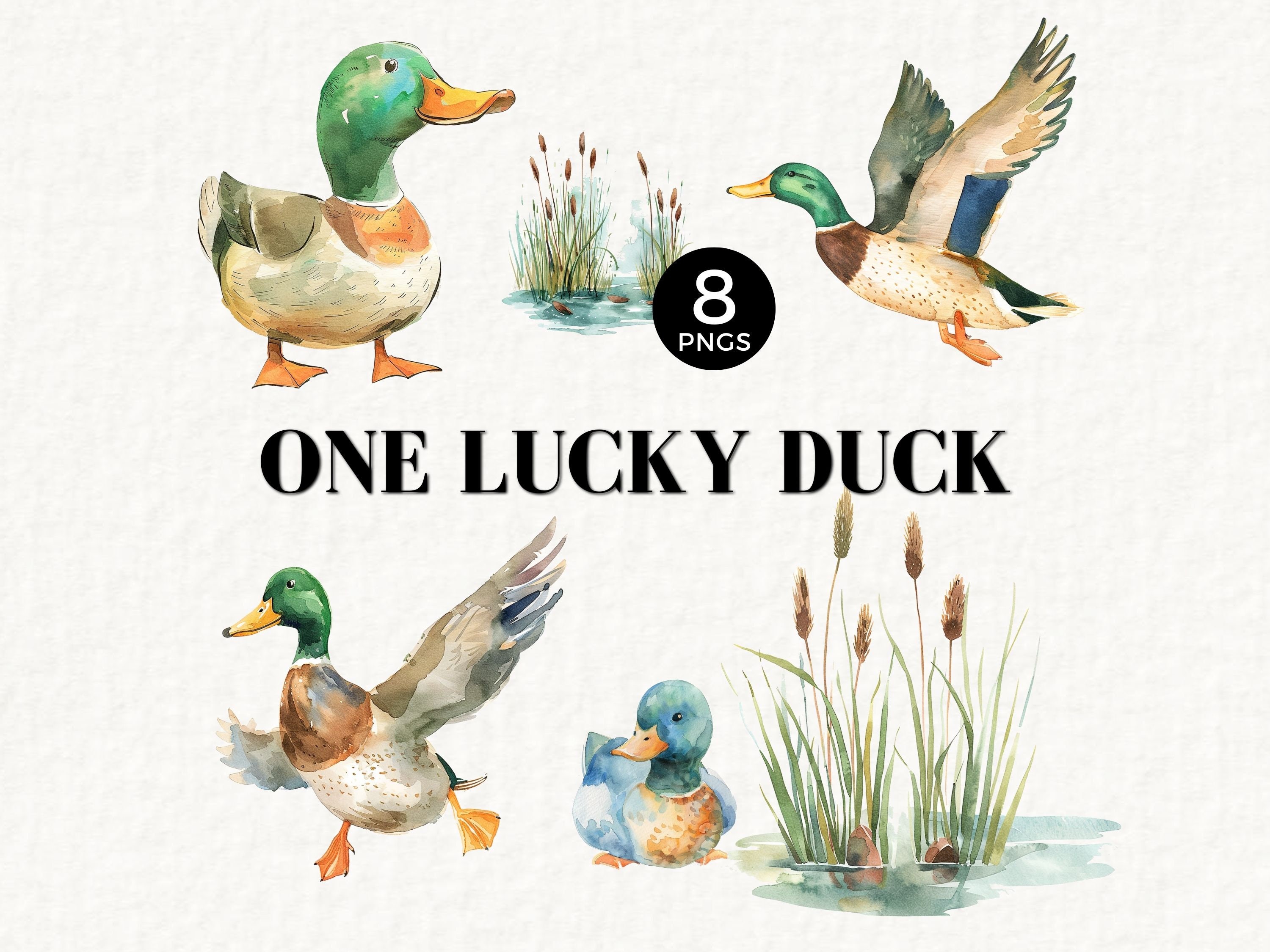 One Lucky Duck Clipart for First Birthday Decorations, Mallard Duck PNG ...