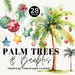 Beach Christmas Clipart, Tropical Xmas PNG, Palm Tree Watercolor ...
