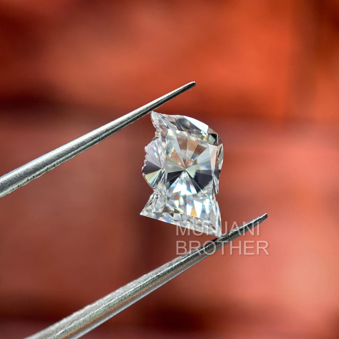 Donald Trump Shape Lab Grown Diamond for Pendants | IGI Certified | 1.0 ...