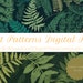 Plant Patterns Digital Paper | Plant Scrapbook Papers | Seamless ...