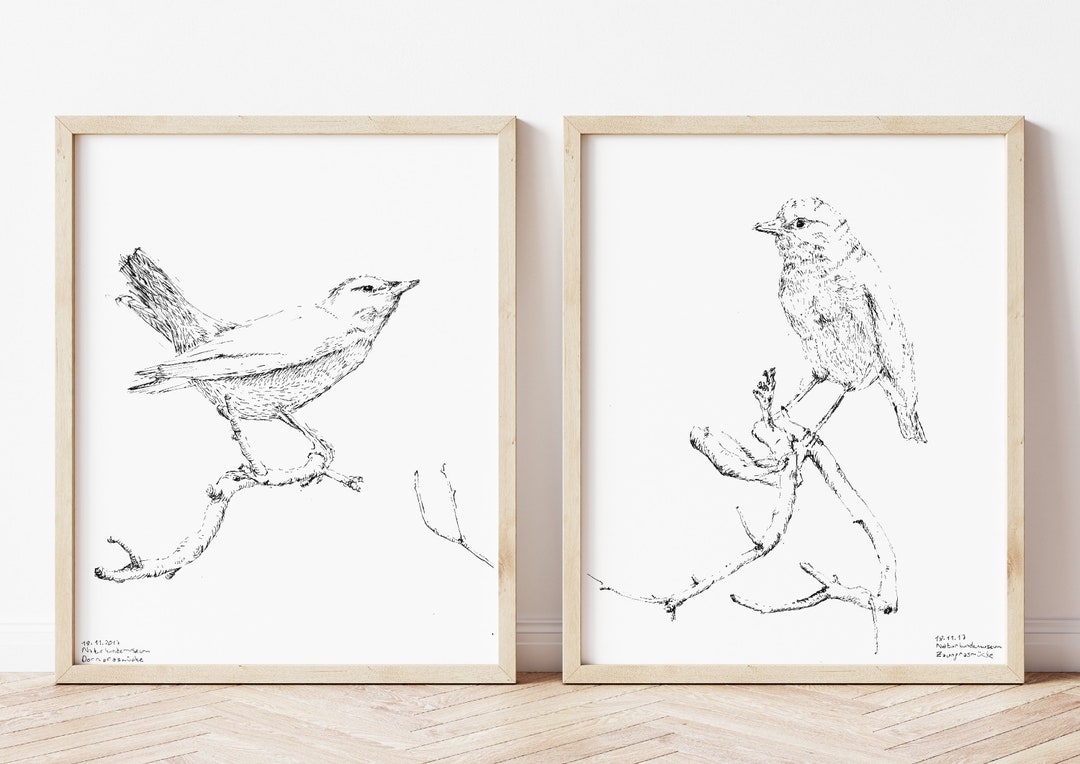 Printable Artwork of Ink Drawing Birds Bird Illustration - Etsy