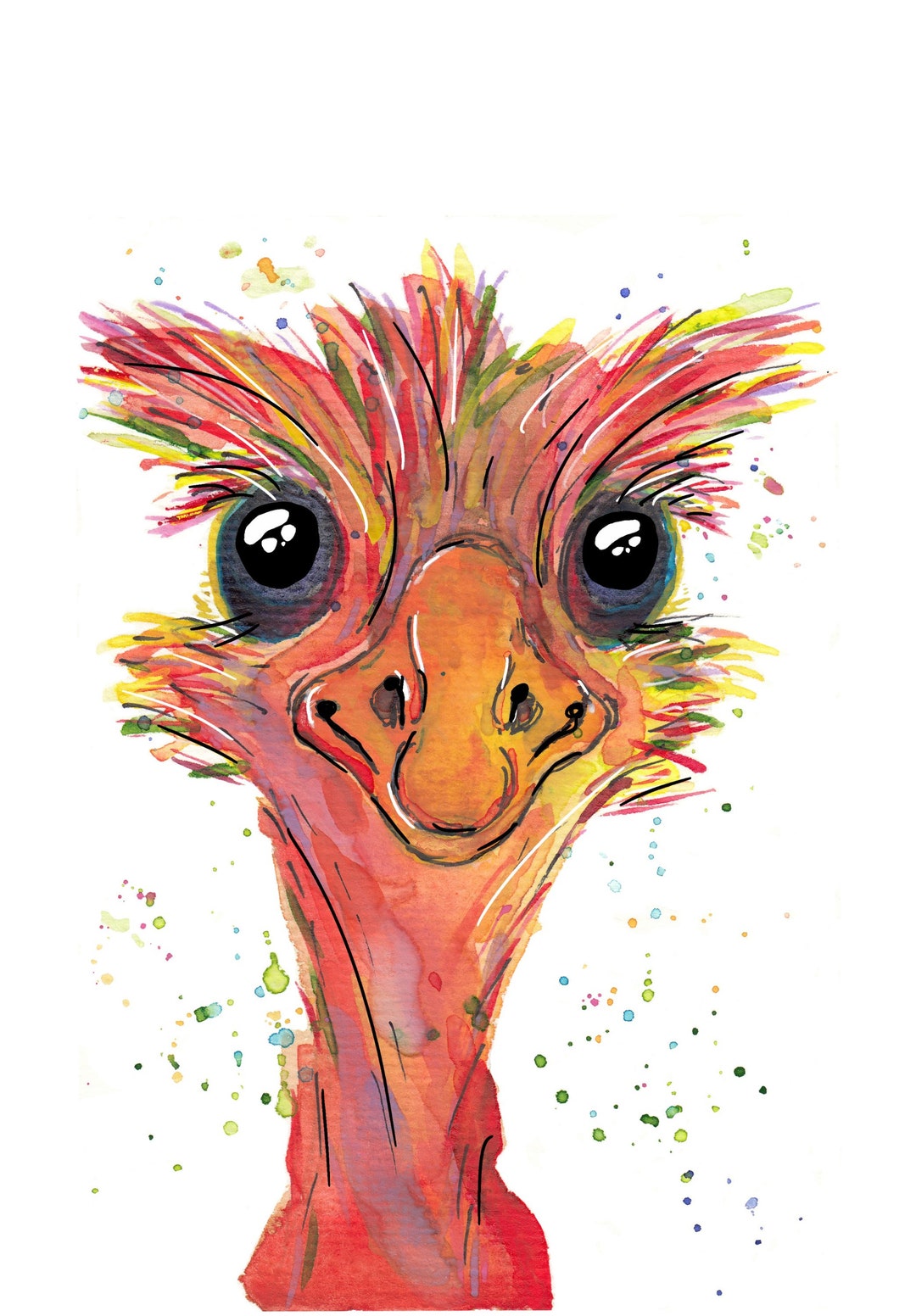 Watercolor Nandu as Art Print * A4 Watercolor Animal Pictures for ...