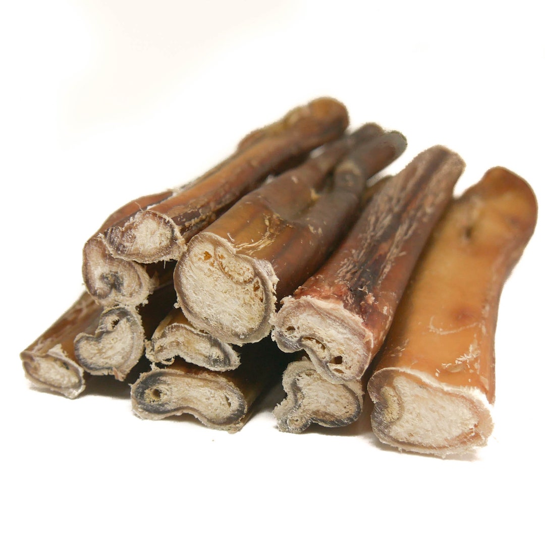Beef Pizzle Bully Sticks, Natural Dog Dental Chews (10/20 Pieces) 12 ...