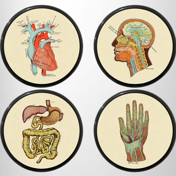 Art Glass Coasters - Etsy