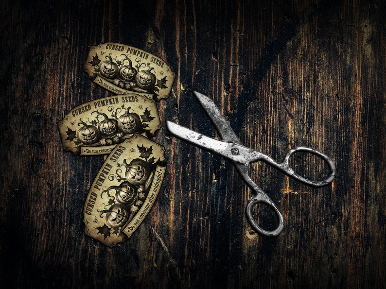 Cursed Pumpkin Seed Label: Vintage Halloween Apothecary (digital ...