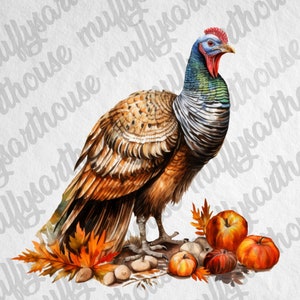 Thanksgiving Turkeys Cliparts,watercolor Clipart,fall Clipart,autumn ...