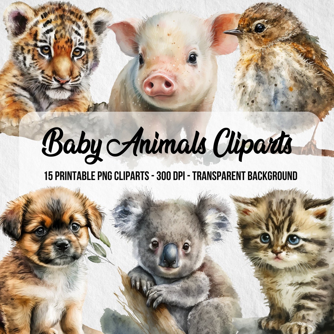 Baby Animal Clipart,nursery,baby Animal,digital Print for Baby Shower ...