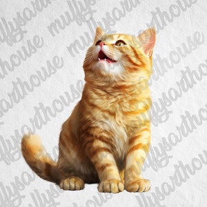 PNG Funny Orange Cat Clipart,orange Cat Sublimation,realistic Cat Clip ...