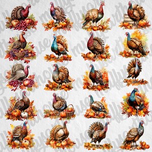 Thanksgiving Turkeys Cliparts,watercolor Clipart,fall Clipart,autumn ...