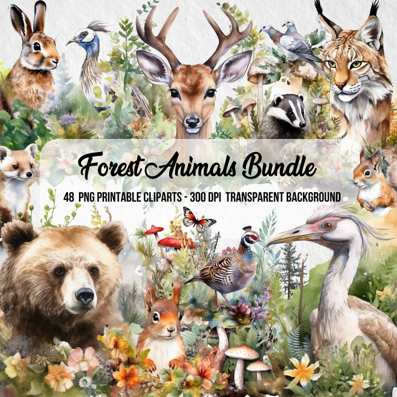 Watercolor Forest Animal Clipart, PNG Bundle (digital Download) - Etsy