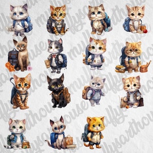 PNG Watercolor School Cats Clipart,back to School Bundle,school Animals ...