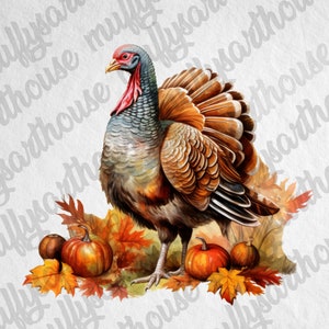 Thanksgiving Turkeys Cliparts,watercolor Clipart,fall Clipart,autumn ...