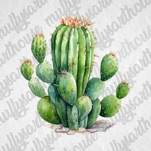 Floral Cactuse Bundle ,watercolor Effect,commercial Use,scrapbook,junk ...