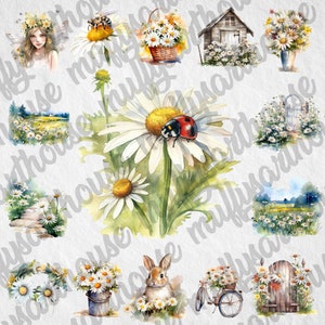 Daisy Bundle,junk Journal,scrapbook,floral Images,clipart Bundle ...