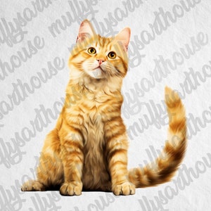 PNG Funny Orange Cat Clipart,orange Cat Sublimation,realistic Cat Clip ...