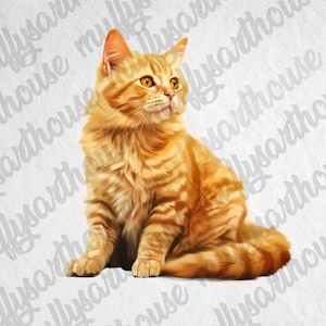 PNG Funny Orange Cat Clipart,orange Cat Sublimation,realistic Cat Clip ...