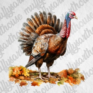 Thanksgiving Turkeys Cliparts,watercolor Clipart,fall Clipart,autumn ...