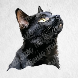 PNG Funny Black Cats Cliparts,black Cat Sublimation,realistic Cat Clip ...