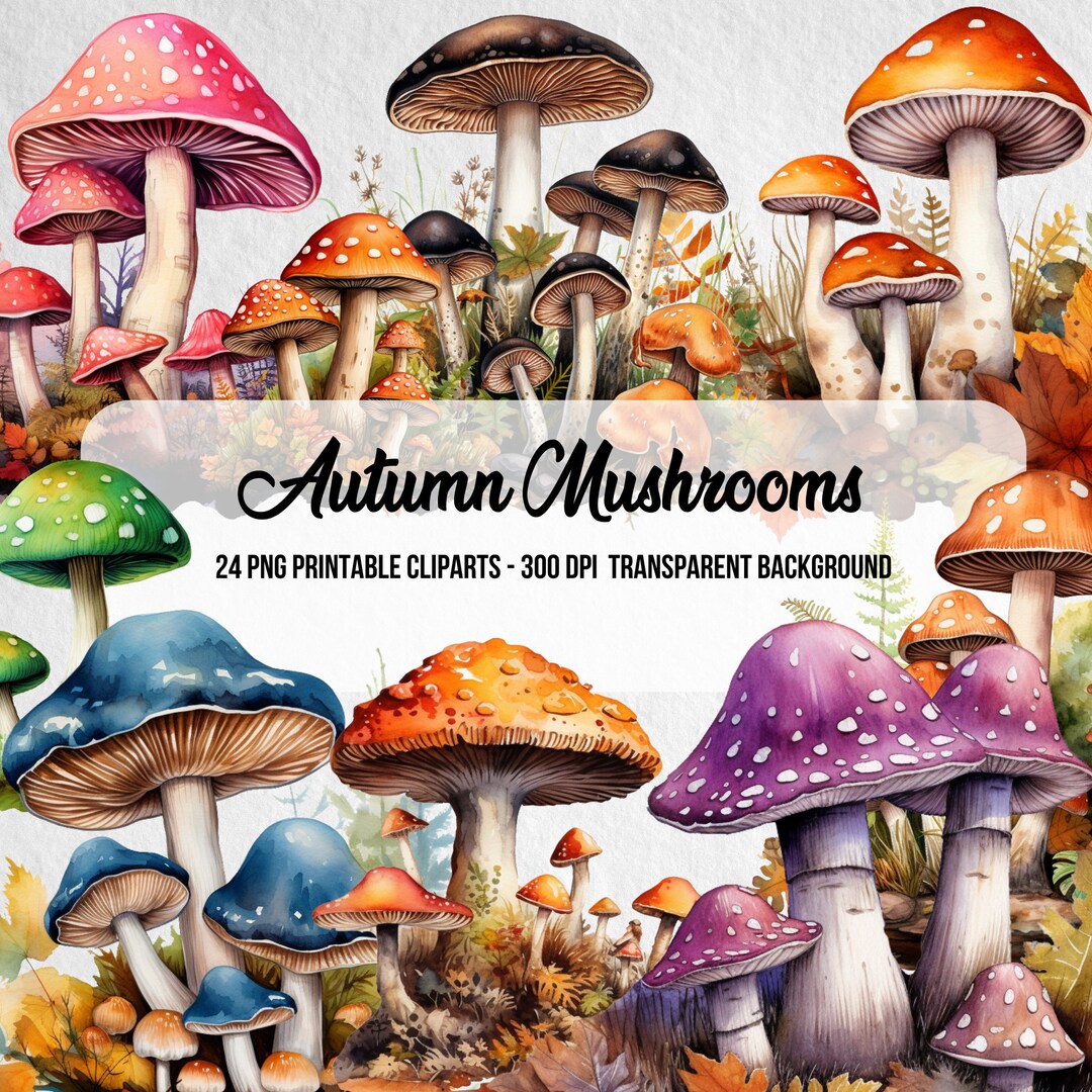 Watercolor Autumn Mushroom Clipart, Fall PNG (digital Download) - Etsy
