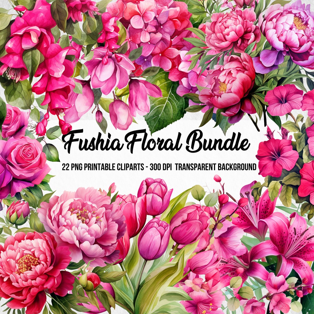Fushia Floral Clipart Bundle, Watercolor Flower Graphics (digital ...