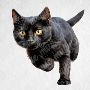 PNG Funny Black Cats Cliparts,black Cat Sublimation,realistic Cat Clip ...