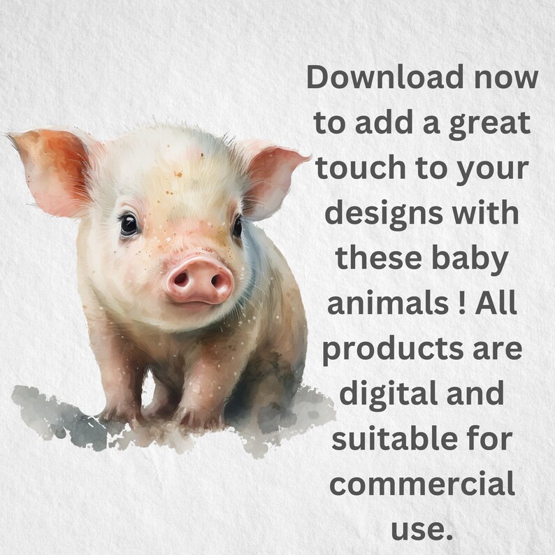 Baby Animal Clipartnurserybaby Animaldigital Print for Baby - Etsy