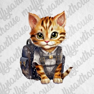 PNG Watercolor School Cats Clipart,back to School Bundle,school Animals ...