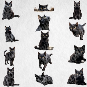 PNG Funny Black Cats Cliparts,black Cat Sublimation,realistic Cat Clip ...