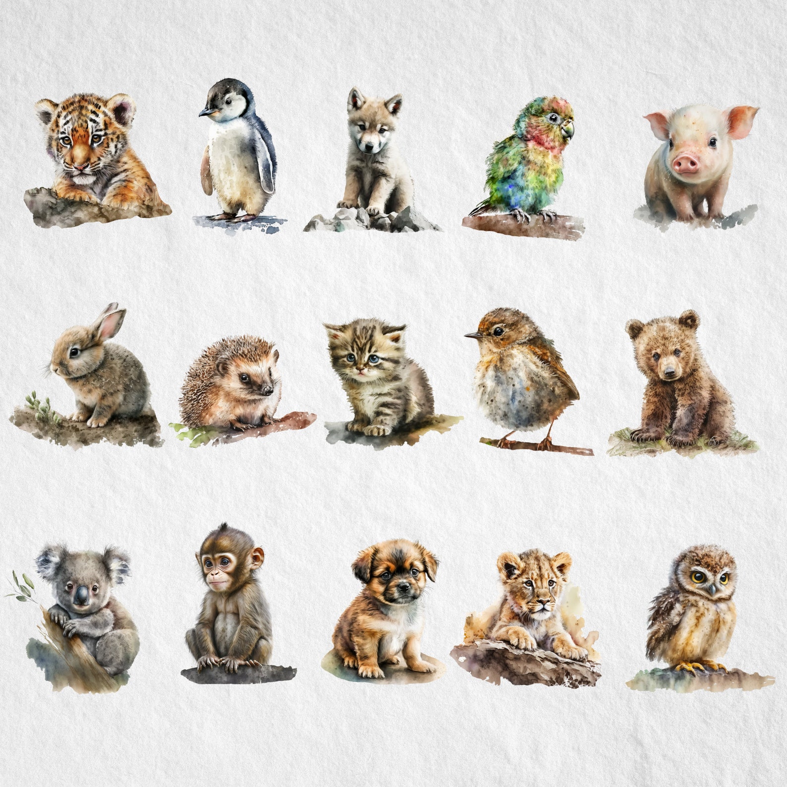 Baby Animal Clipart,nursery,baby Animal,digital Print for Baby Shower ...