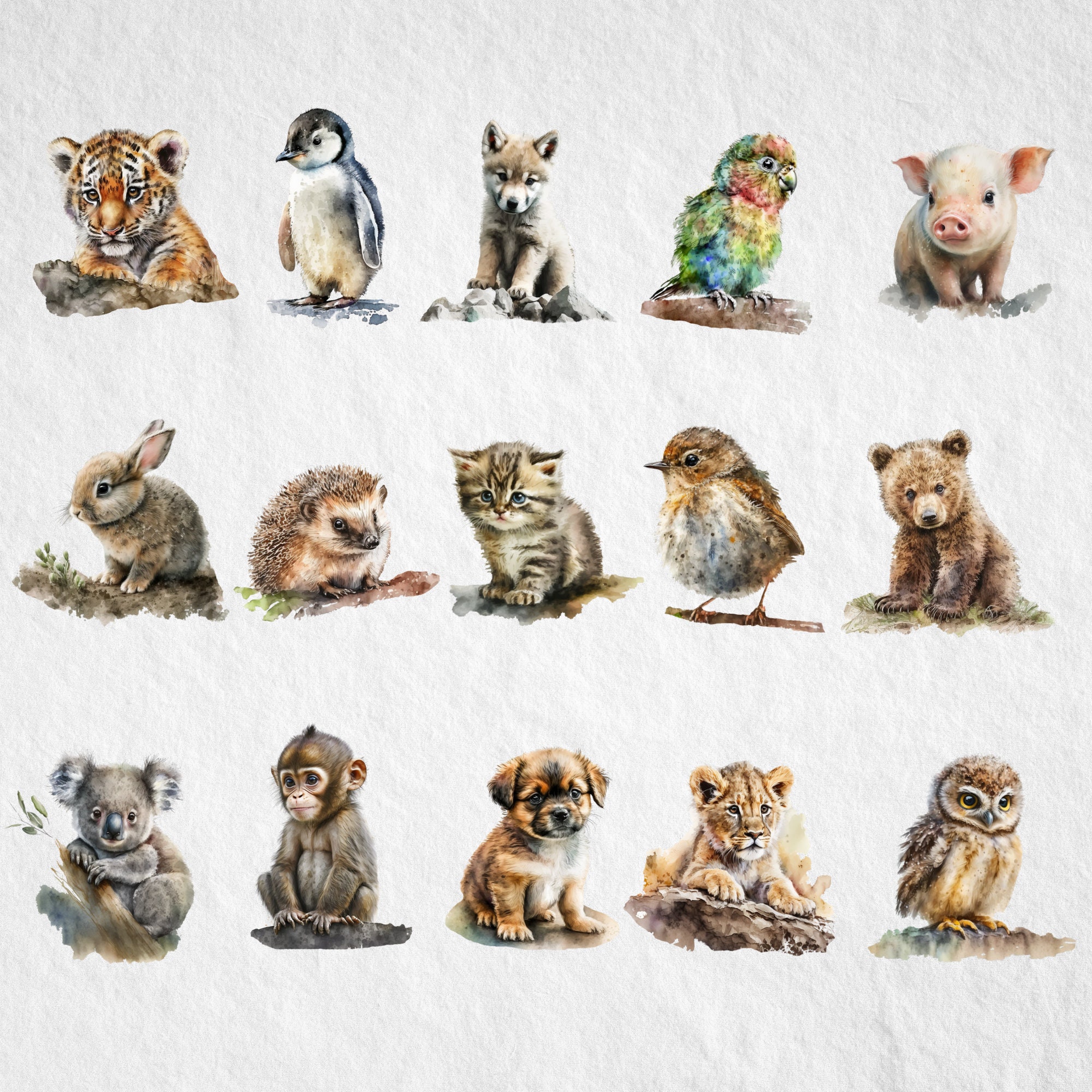 Baby Animal Clipartnurserybaby Animaldigital Print for Baby - Etsy