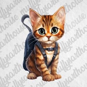 PNG Watercolor School Cats Clipart,back to School Bundle,school Animals ...