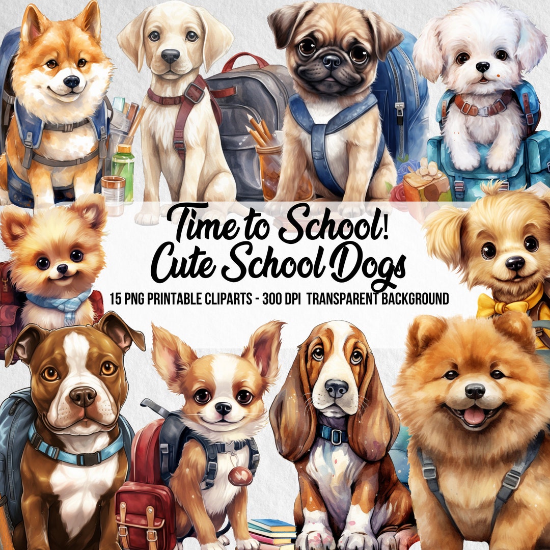 PNG Watercolor School Dogs Clipart,back to School Bundle,school Animals ...